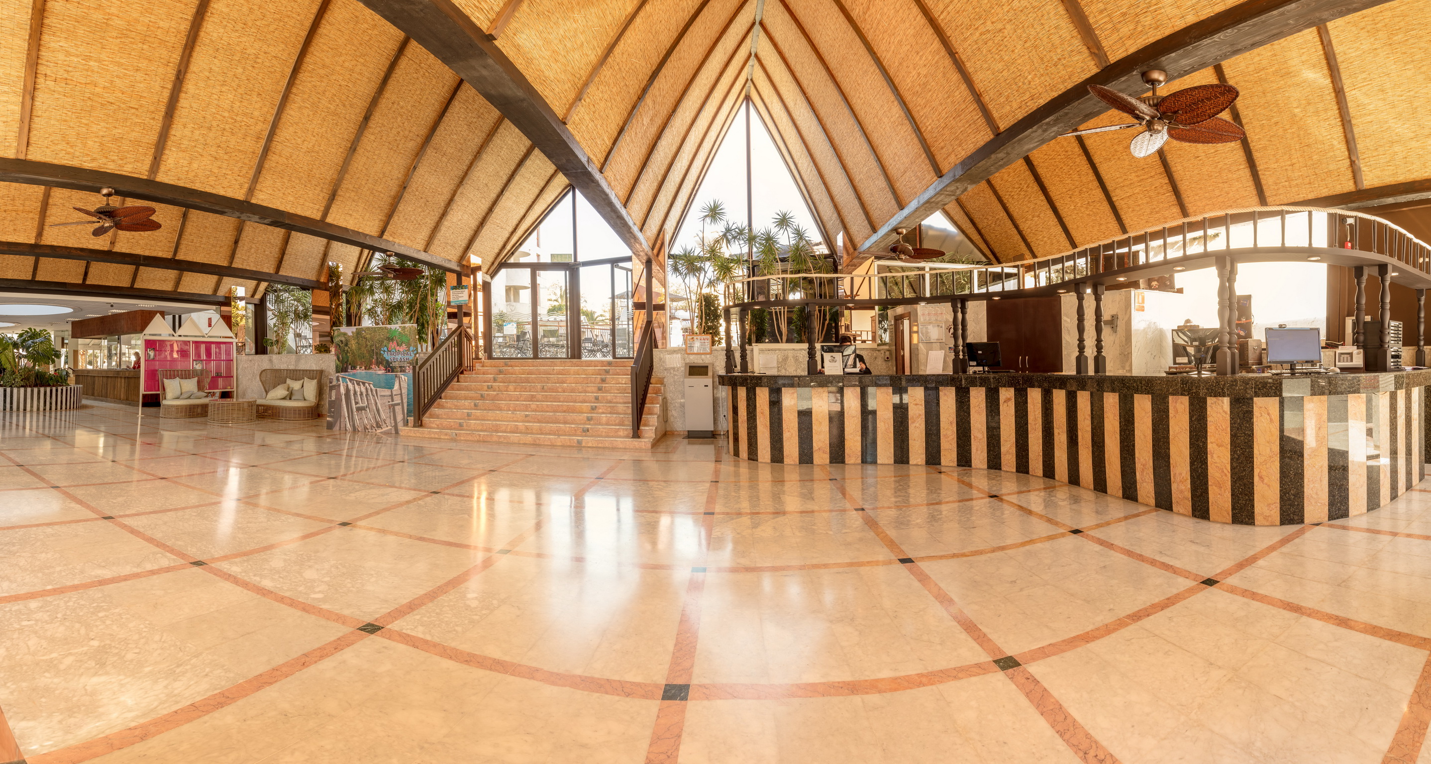 Magic Tropical Splash