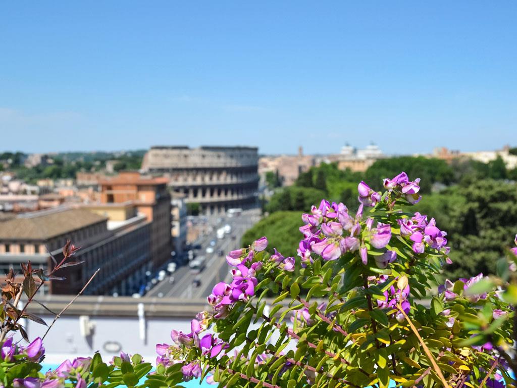 Mercure Roma Delta Colosseo Hotel